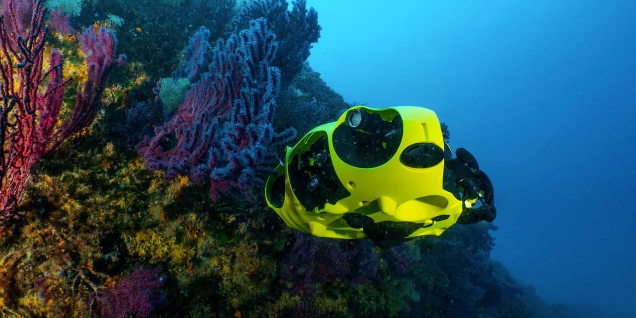 Projet PROTEUS, une armée de drones sous-marins - NeoTech